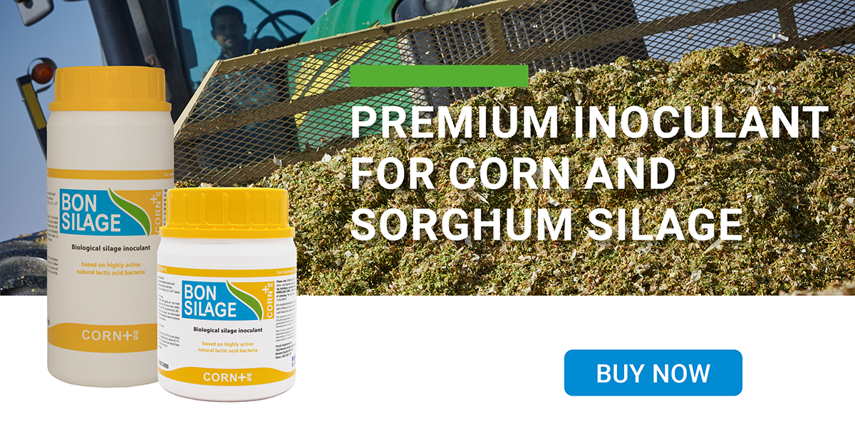 bonsilage CORN+ WS | bonsilage USA