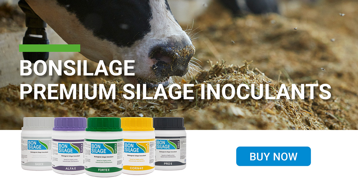 Products | BONSILAGE USA