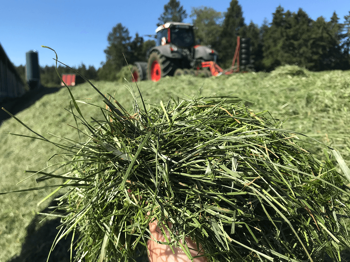 Grass and Legume Silage Tips | BONSILAGE USA