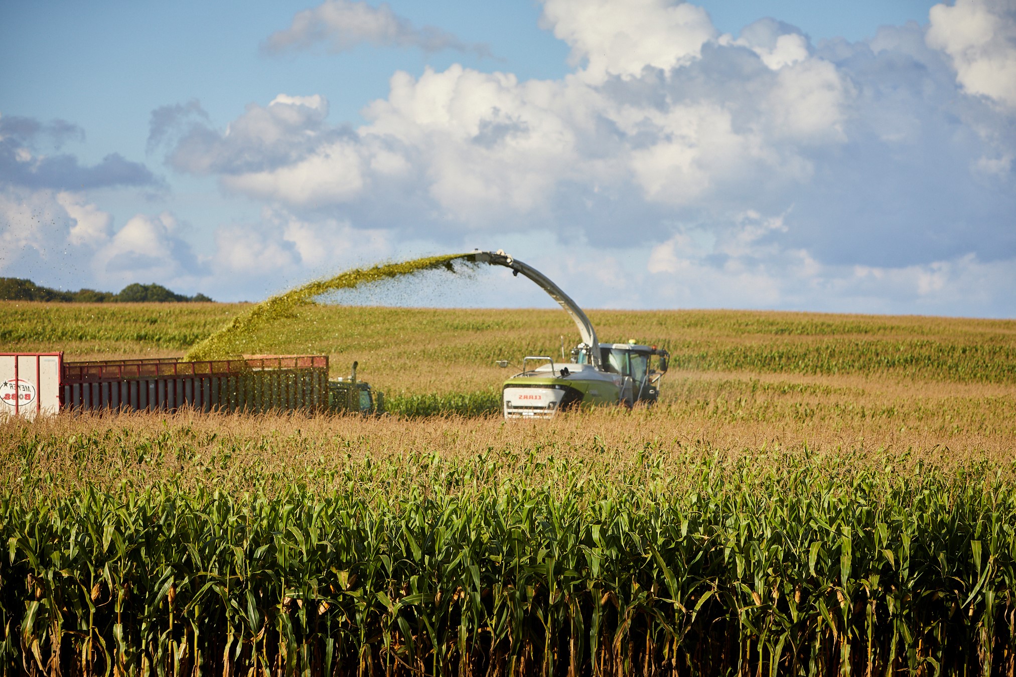 Propylene Glycol production with BONSILAGE CORN+ | BONSILAGE USA