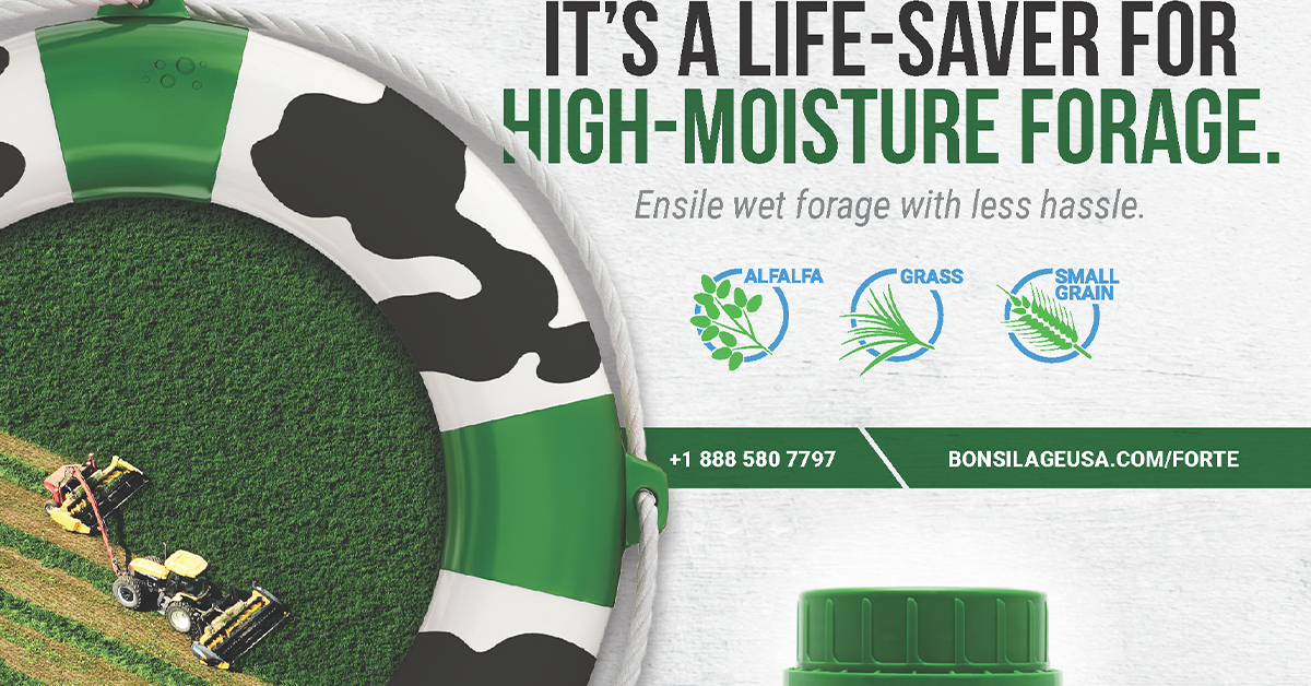 FORTE | BONSILAGE USA