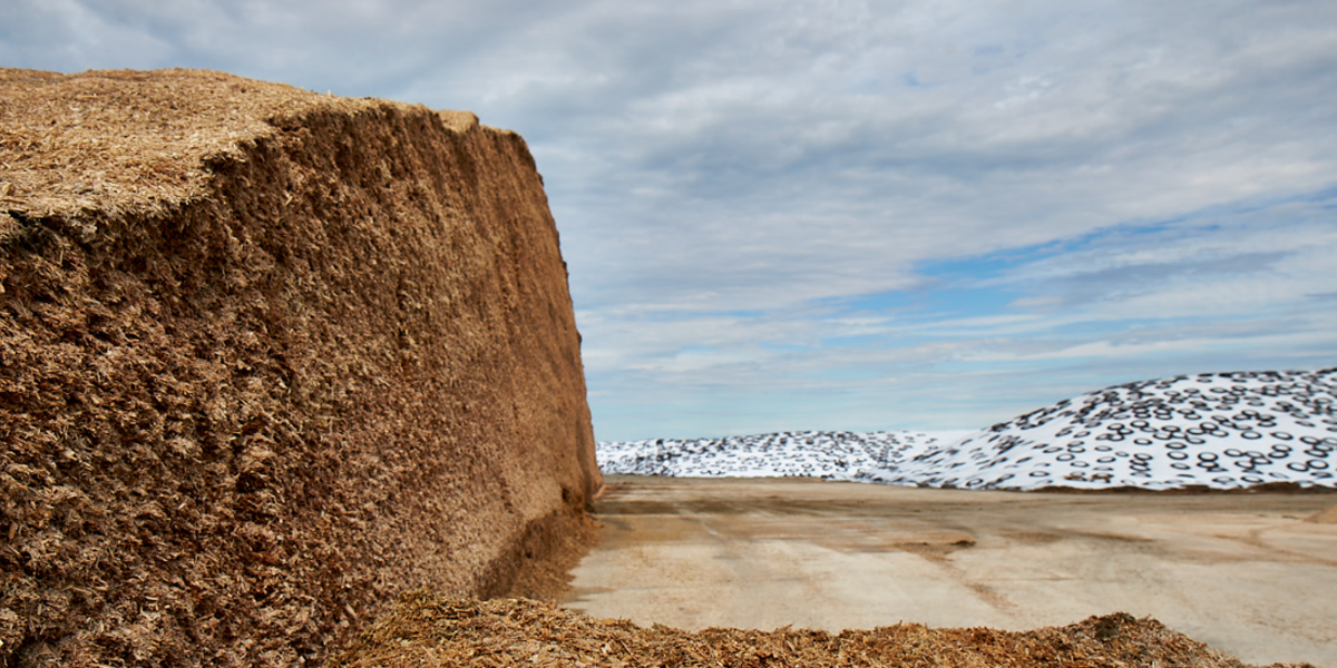 How Does the Heat Impact Your Pile? | BONSILAGE USA